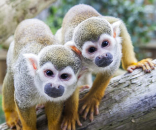 Kirkley Hall Campus - Northumberland College