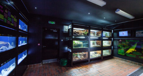 Our college - Northumberland College