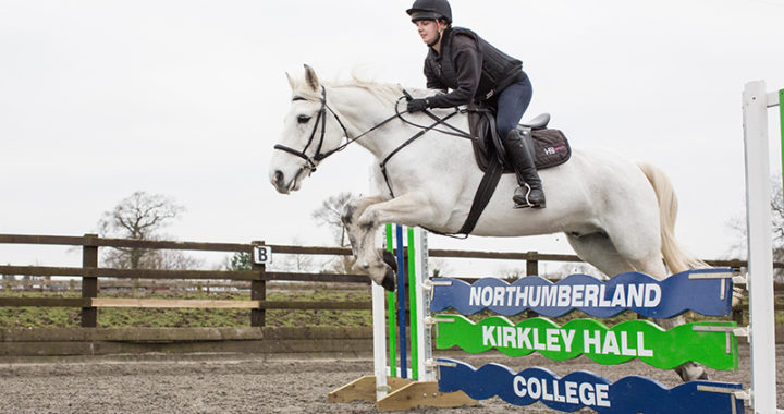 Equine - Northumberland College