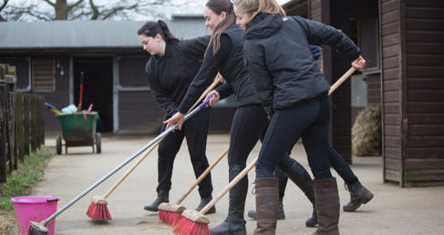 Equine - Northumberland College