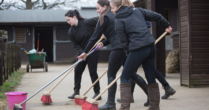 Equine - Northumberland College