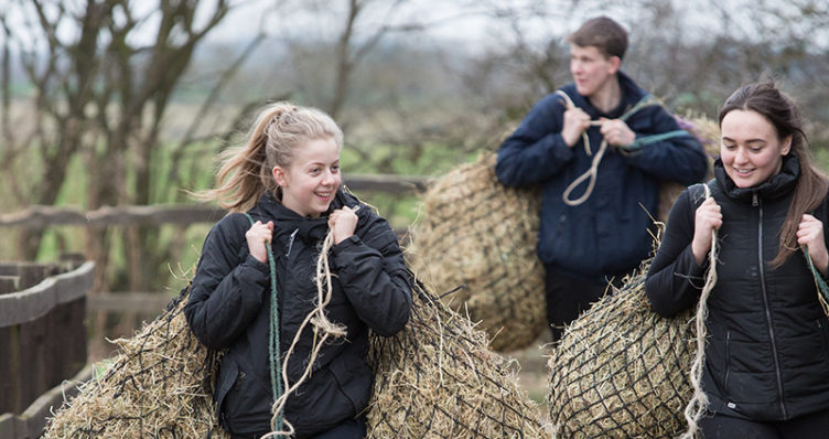 Equine - Northumberland College