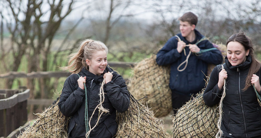 Equine - Northumberland College
