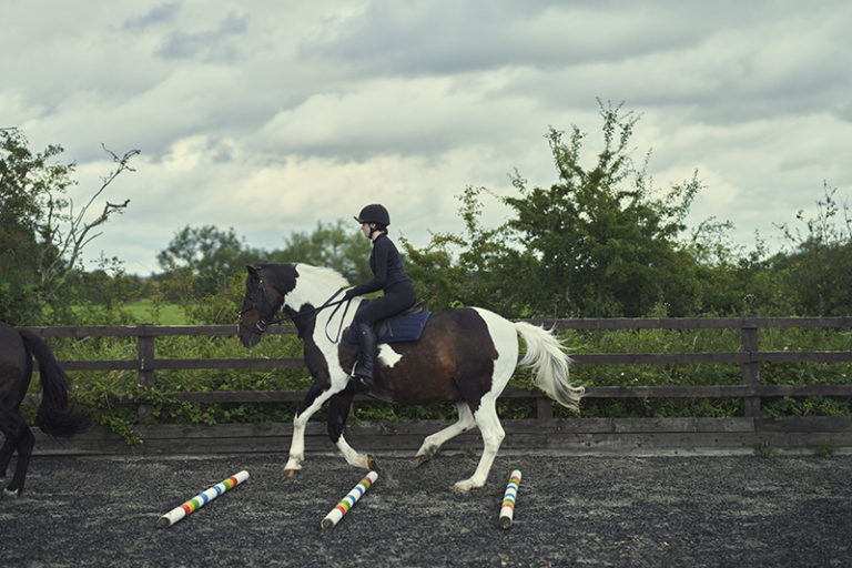 Animal, equine, and veterinary nursing - Northumberland College