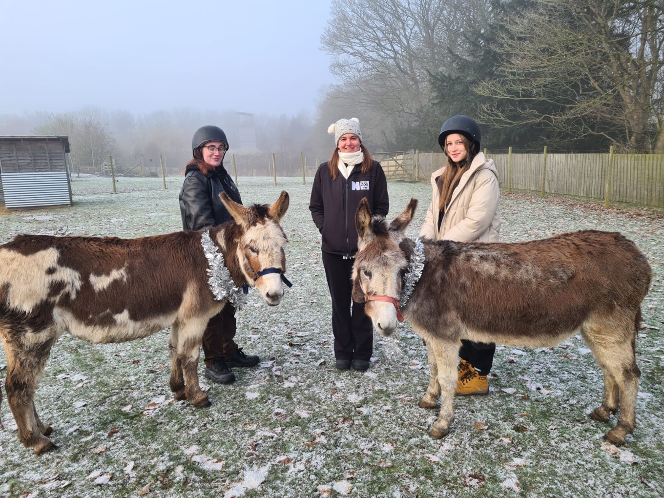 Students organise charity donkey walk for disadvantaged children