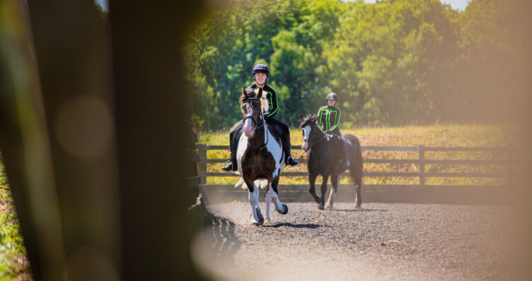 Equine - Northumberland College
