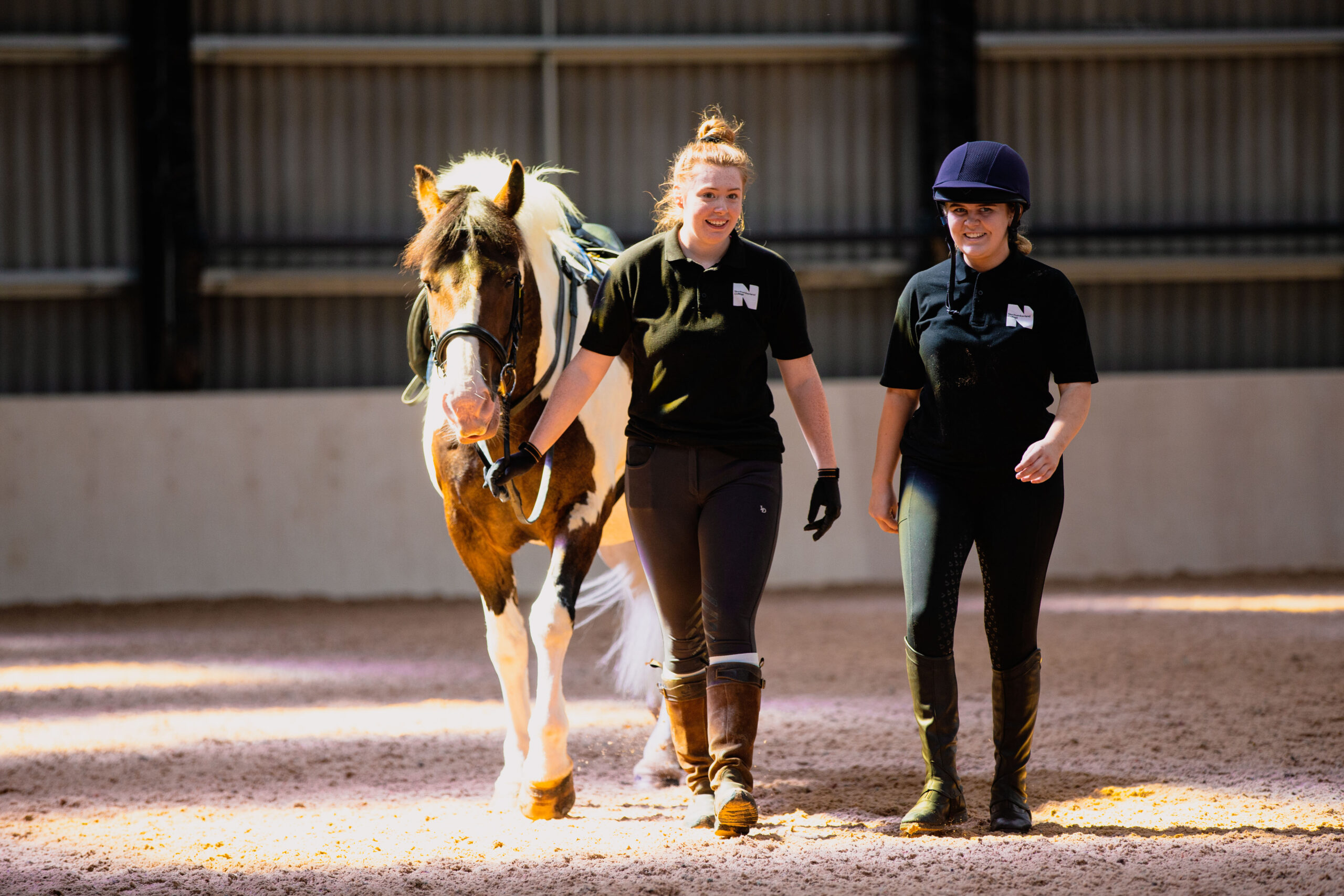 Northumberland College to host world-first equine welfare event